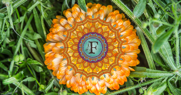 Lymph Love- supporting your Health through Lymphatic Movement The ...