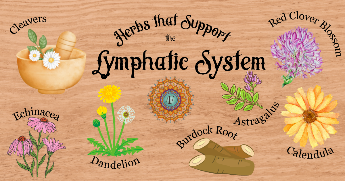 Lymph Love- supporting your Health through Lymphatic Movement The ...