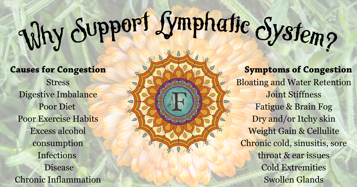 Lymph Love- supporting your Health through Lymphatic Movement The ...