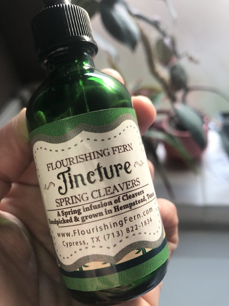 Spring Cleavers Tincture The Flourishing Times